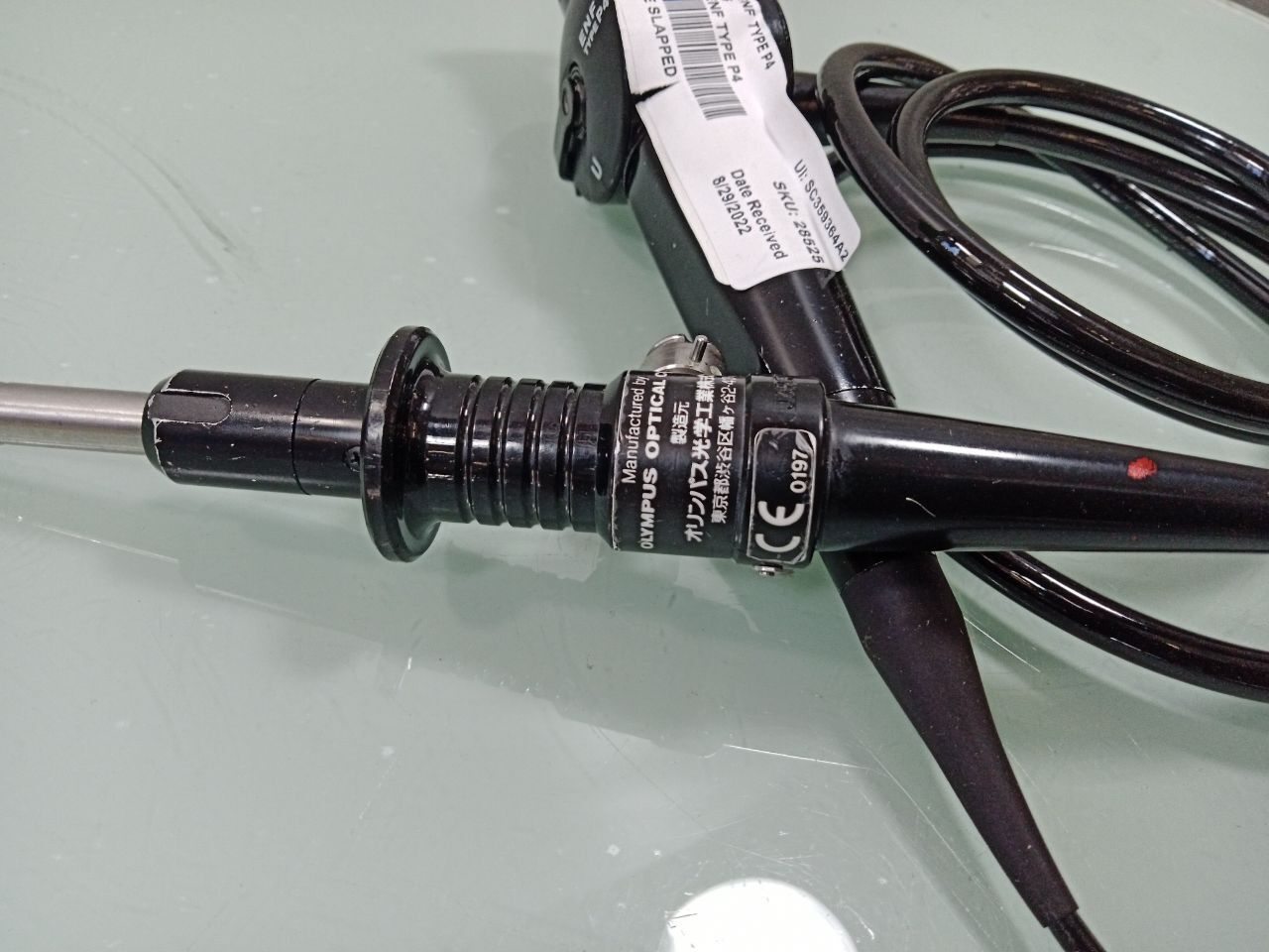 ENF TYPE P4 Endoscopy General Auction