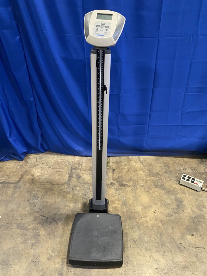 597KL Scale Auction