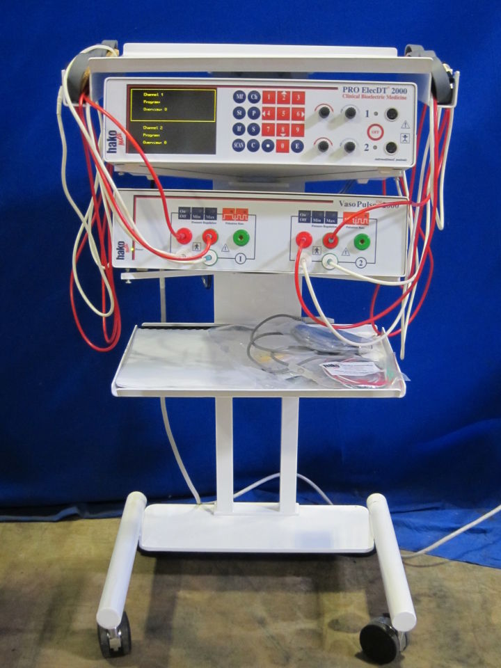 Pro ElecDT 2000 Muscle Stimulator Auction